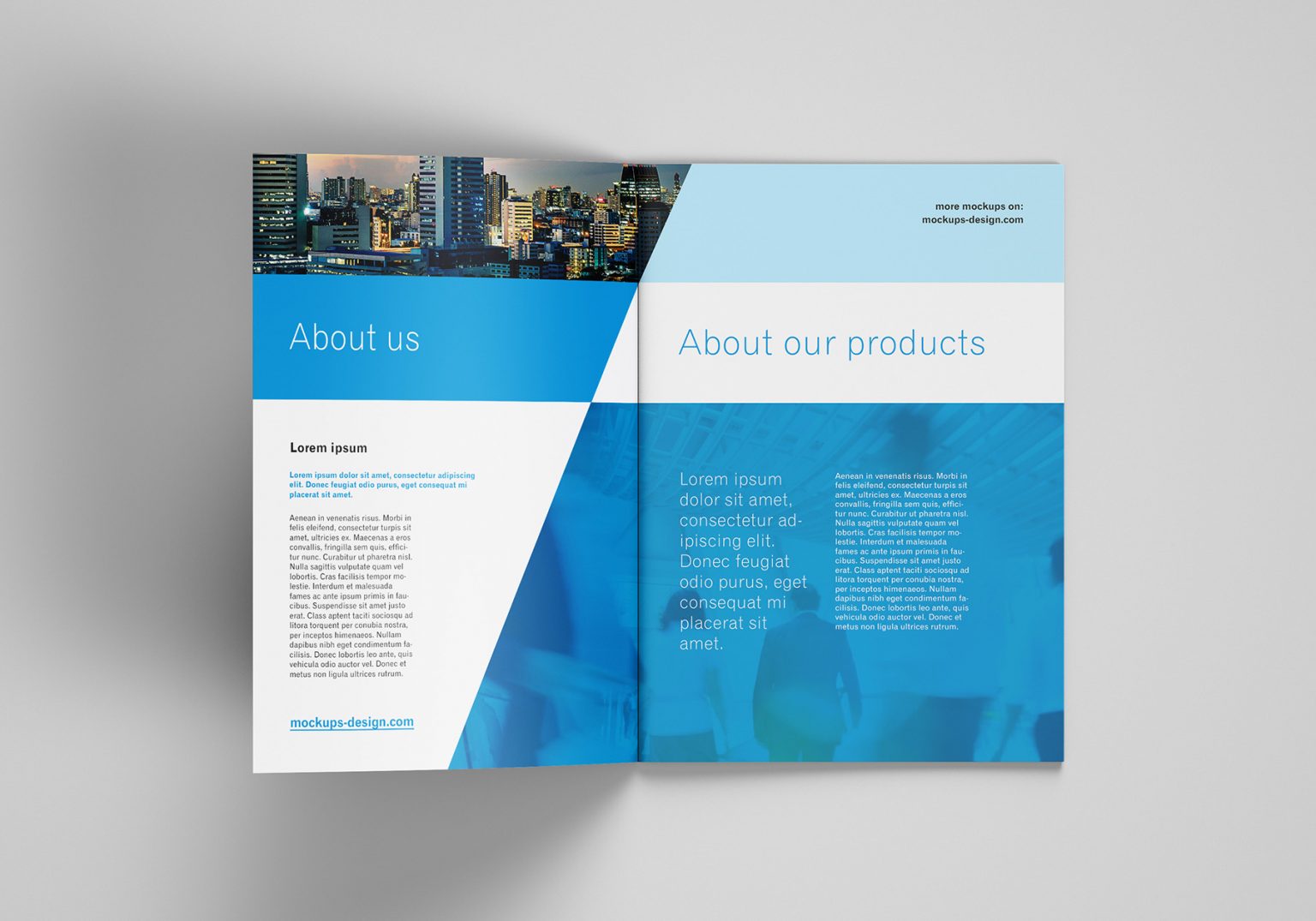 Cheap A4 Booklet Printing Next Day UK | A4 Brochure Printing From £25
